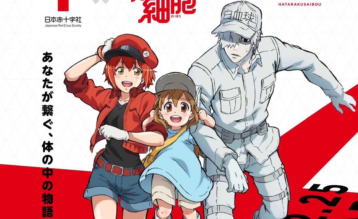 Cells at Work!! publicó nuevo tráiler de la segunda temporada - Tadaima
