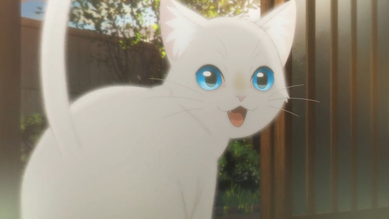 Opinión | Por qué 'Amor de Gata' es un título que no le hace justicia